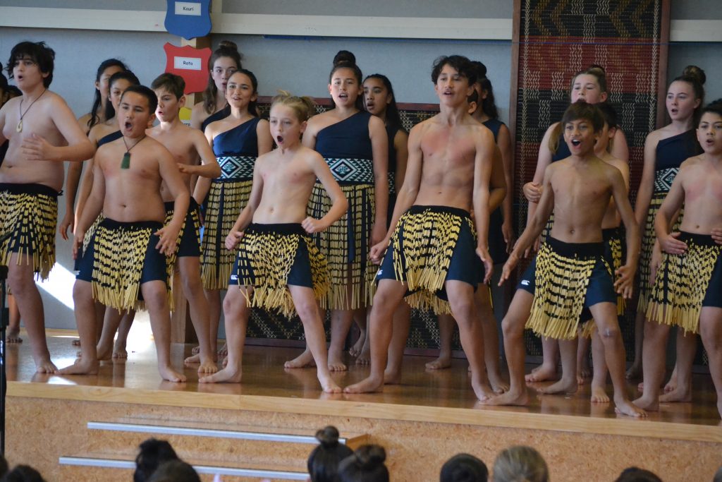 Cultural Group – Glenfield Intermediate