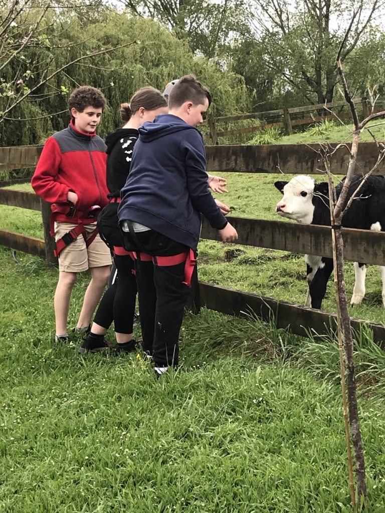 Our Photos – Glenfield Intermediate